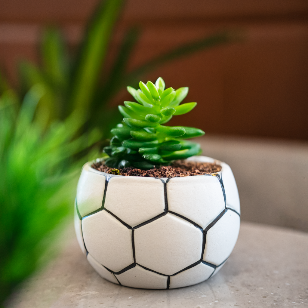 Football Succulent Planter - Hocc
