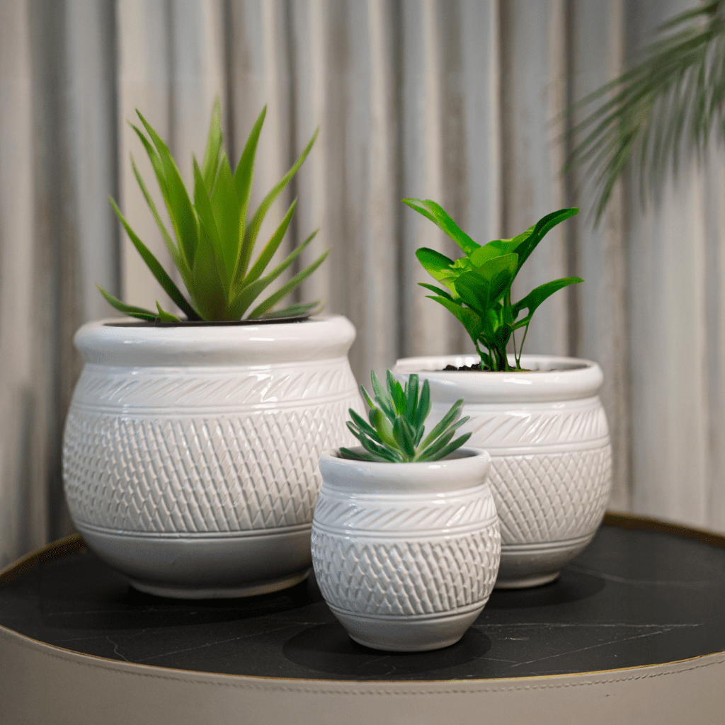 Boho Chic Dholak Planters - Hocc