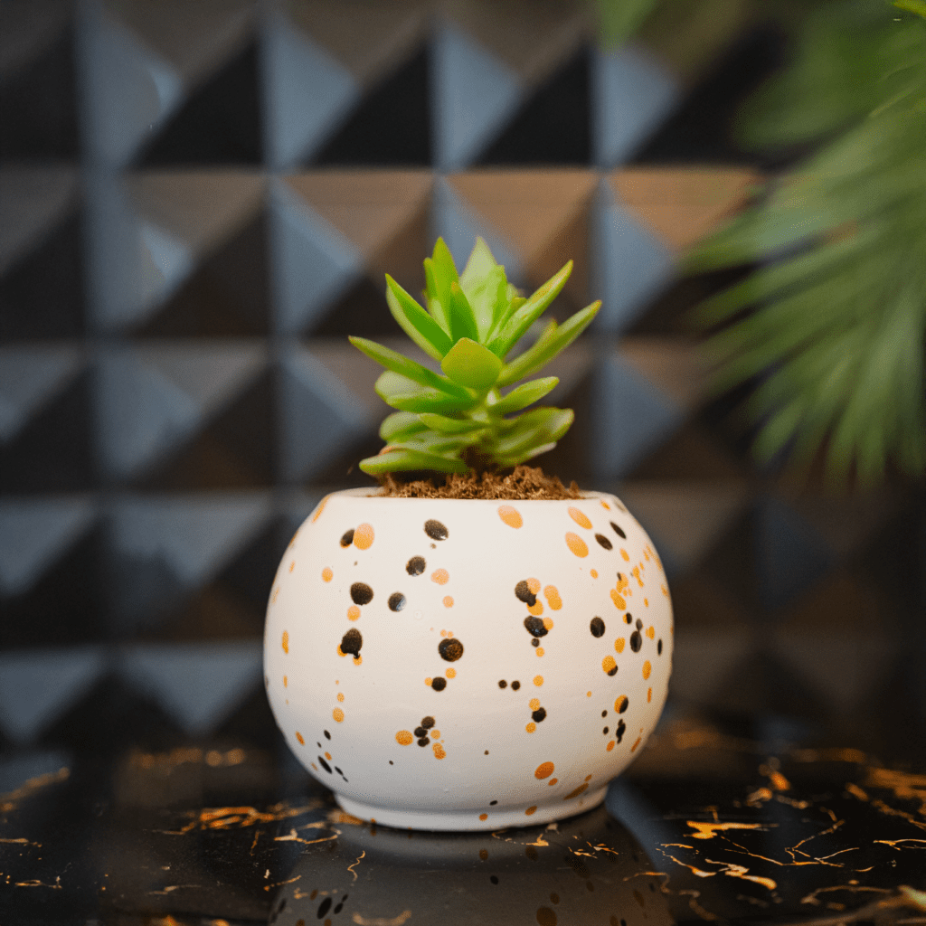 Modern Polka Dot Planter - Hocc