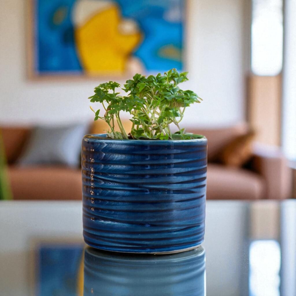 HOCC Ceramic Shop for Exclusive Ceramic Products